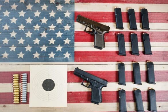 Firearms in the European Union: Regulations in selected countries